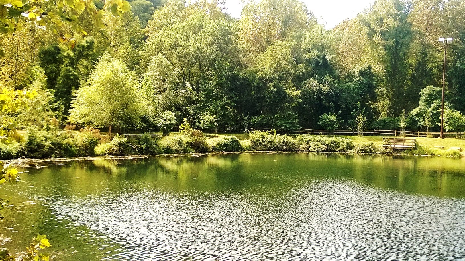 Elopement Ceremonies at Patapsco State Park area of Maryland